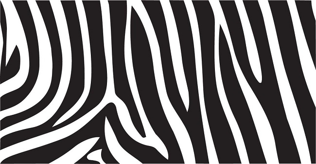 Google Zebra – Fact or Fiction?| SEO Blog | Cartoozo